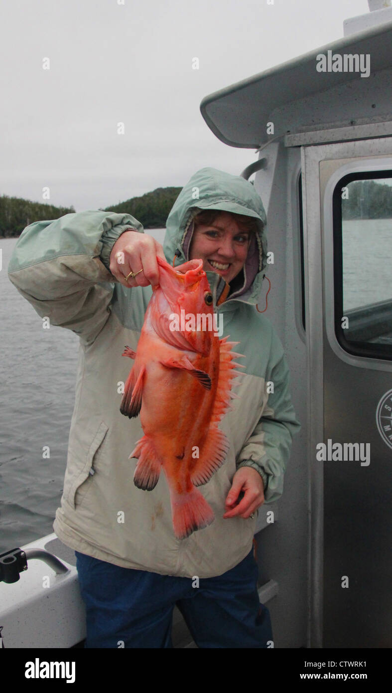 Yellow eye rockfish hi-res stock photography and images - Alamy