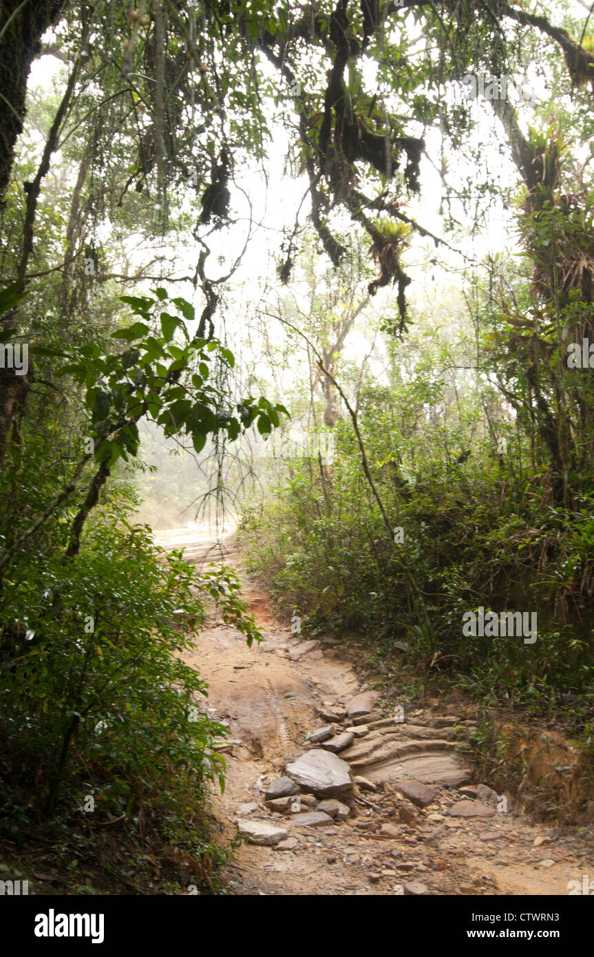 Ibitipoca state Park (Parque Estadual de Ibitipoca), Minas Gerais ...