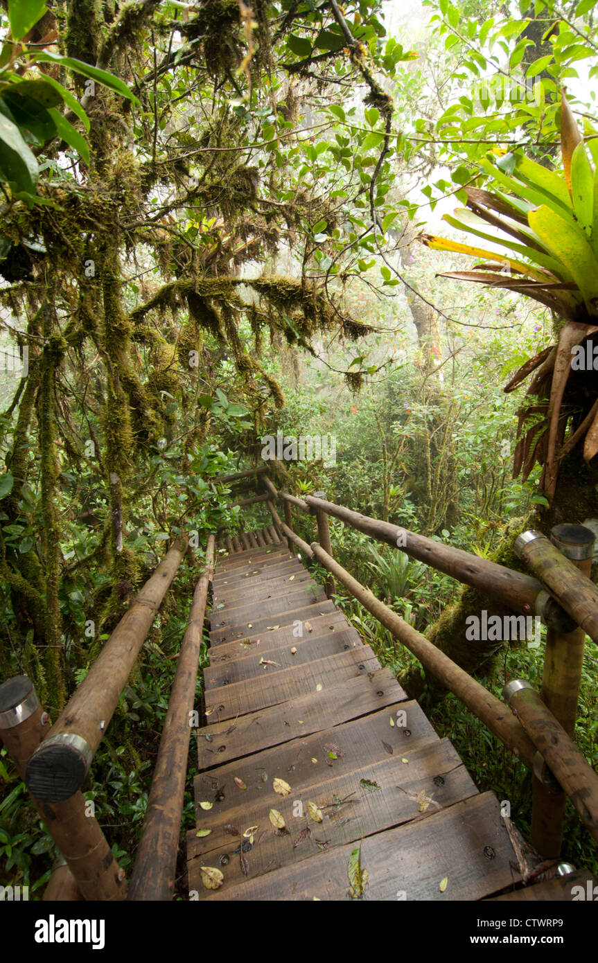 Ibitipoca state Park (Parque Estadual de Ibitipoca), Minas Gerais ...