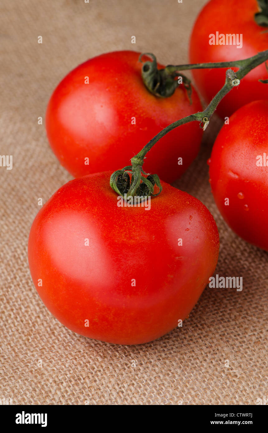 Cherry Tomatoes on the vine over raffia background Stock Photo - Alamy