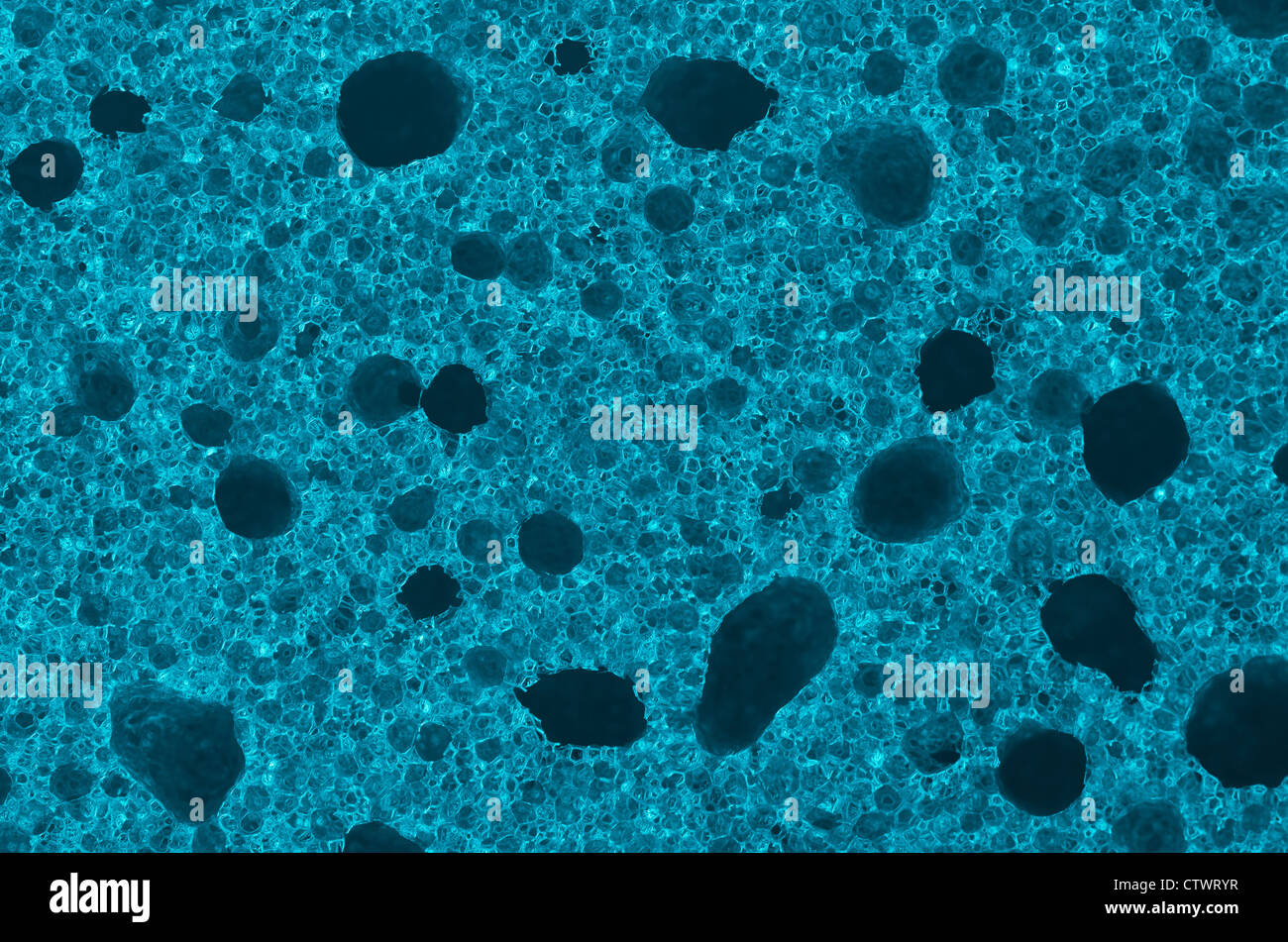 Blue sponge texture detail Stock Photo - Alamy