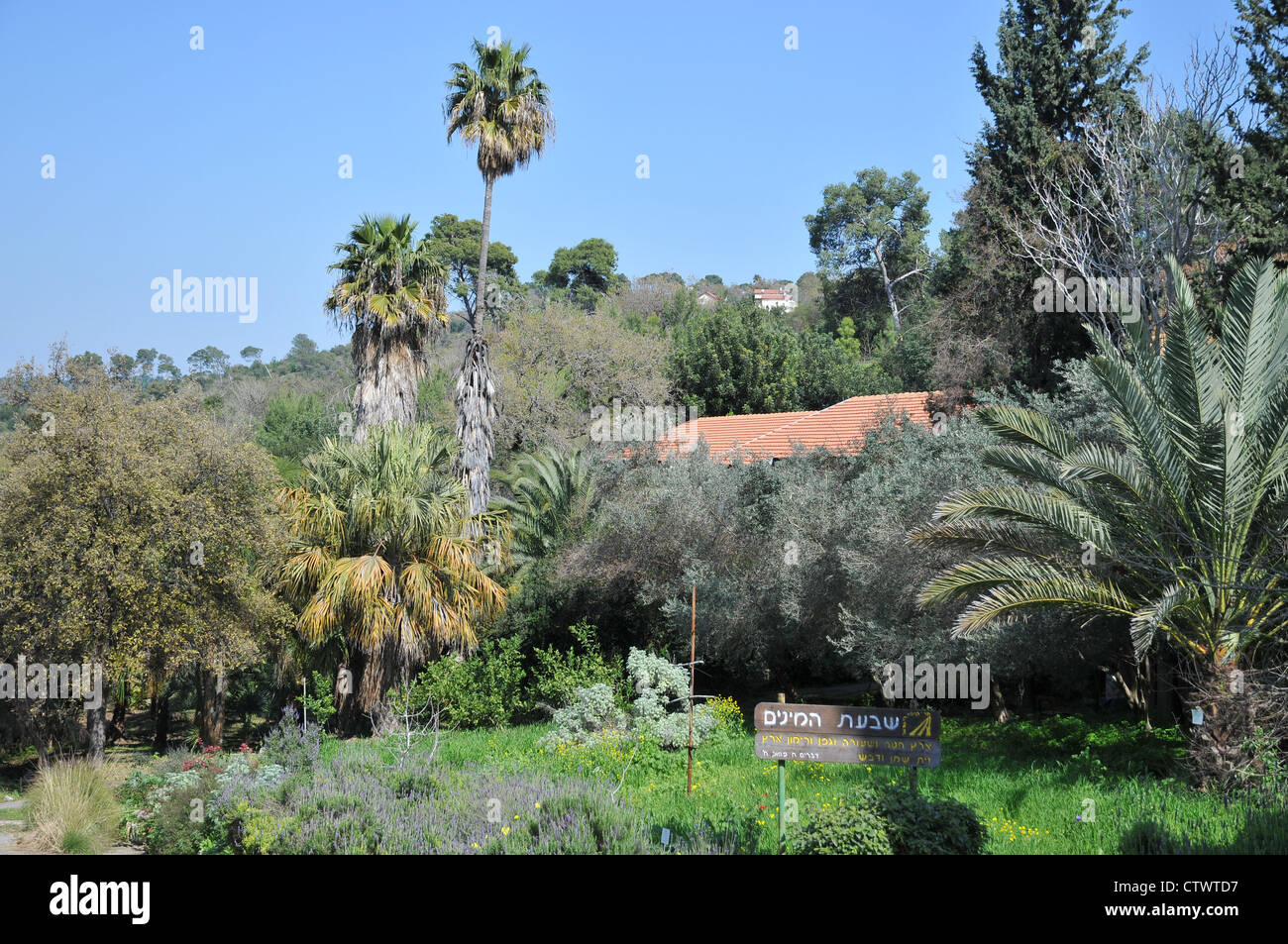 Botanical garden Oranim collage, Israel Stock Photo - Alamy