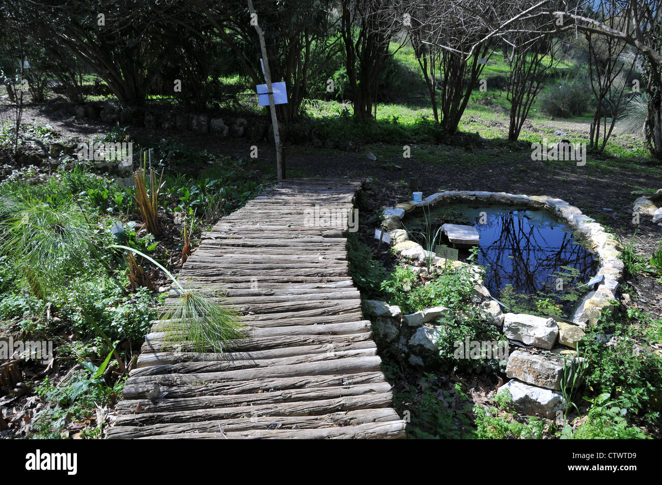 Botanical garden Oranim collage, Israel Stock Photo - Alamy