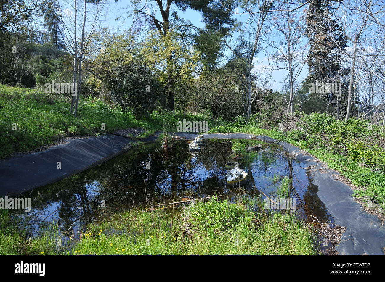 Botanical garden Oranim collage, Israel Stock Photo - Alamy