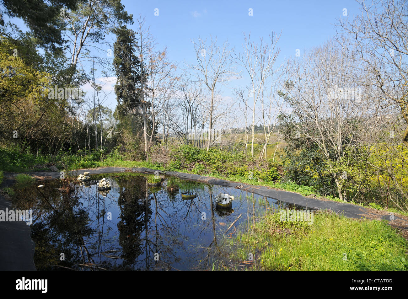 Botanical garden Oranim collage, Israel Stock Photo - Alamy