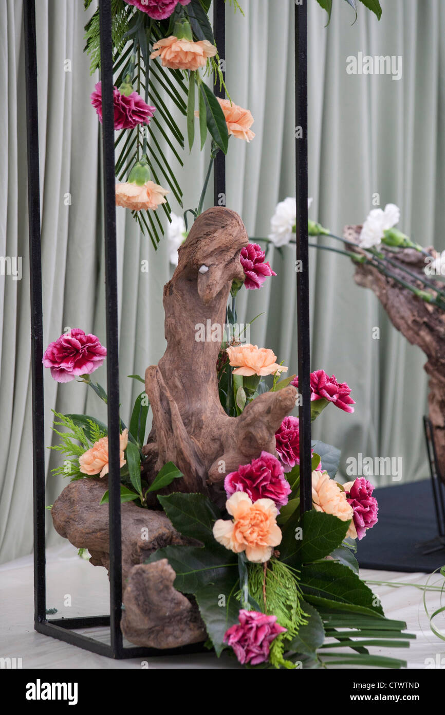 a display of carnations Stock Photo - Alamy