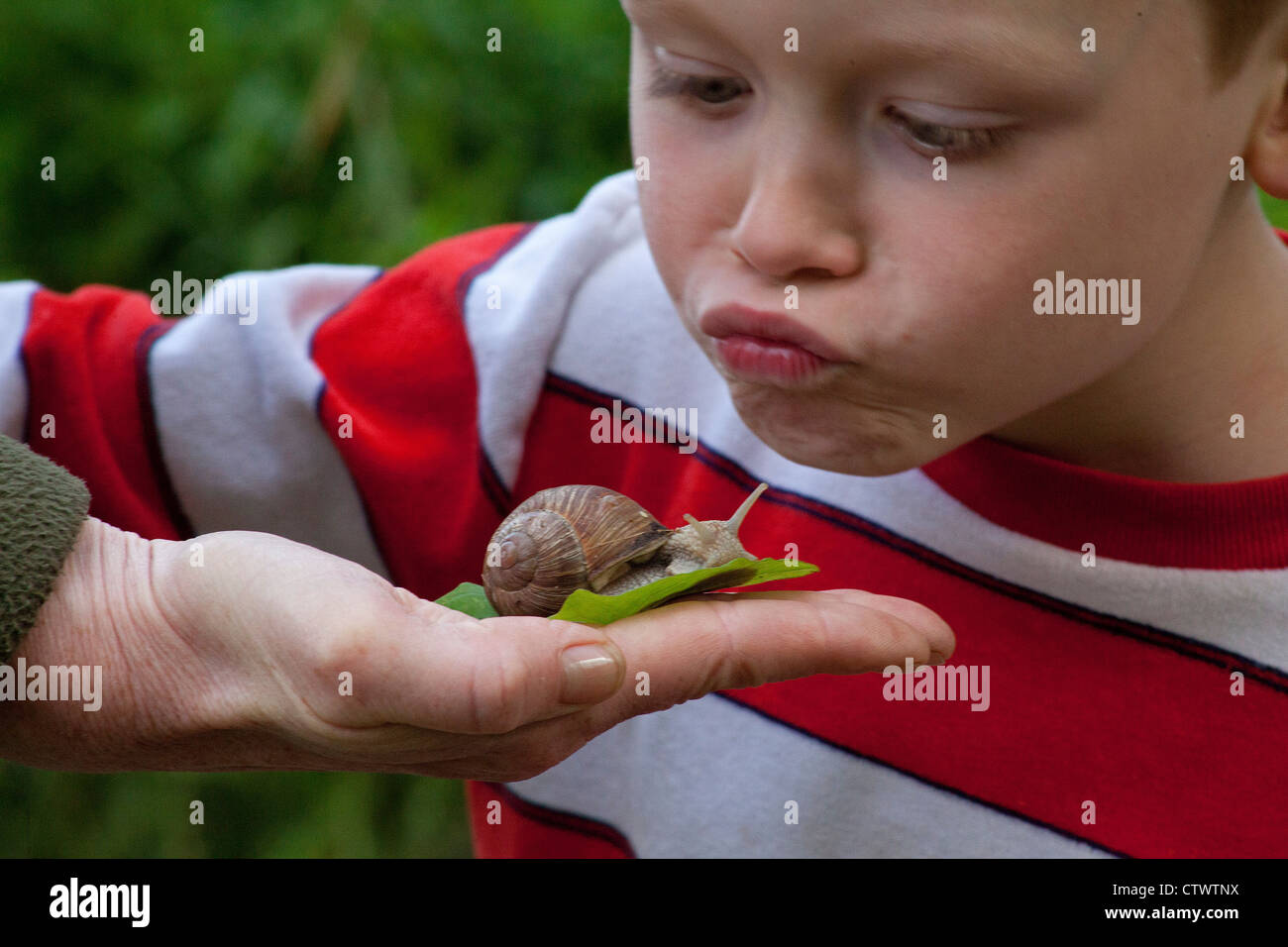 Child holding a snail hi-res stock photography and images - Alamy
