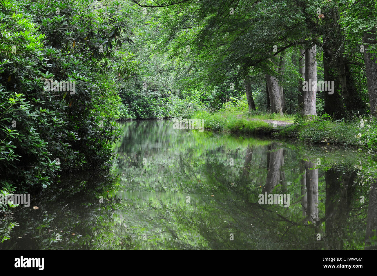 A view of the Basingstoke canal Hampshire UK Stock Photo - Alamy