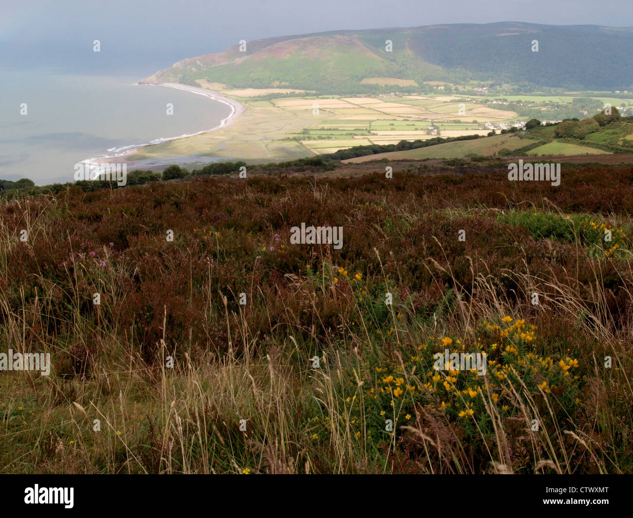 Porlock hills hi-res stock photography and images - Alamy