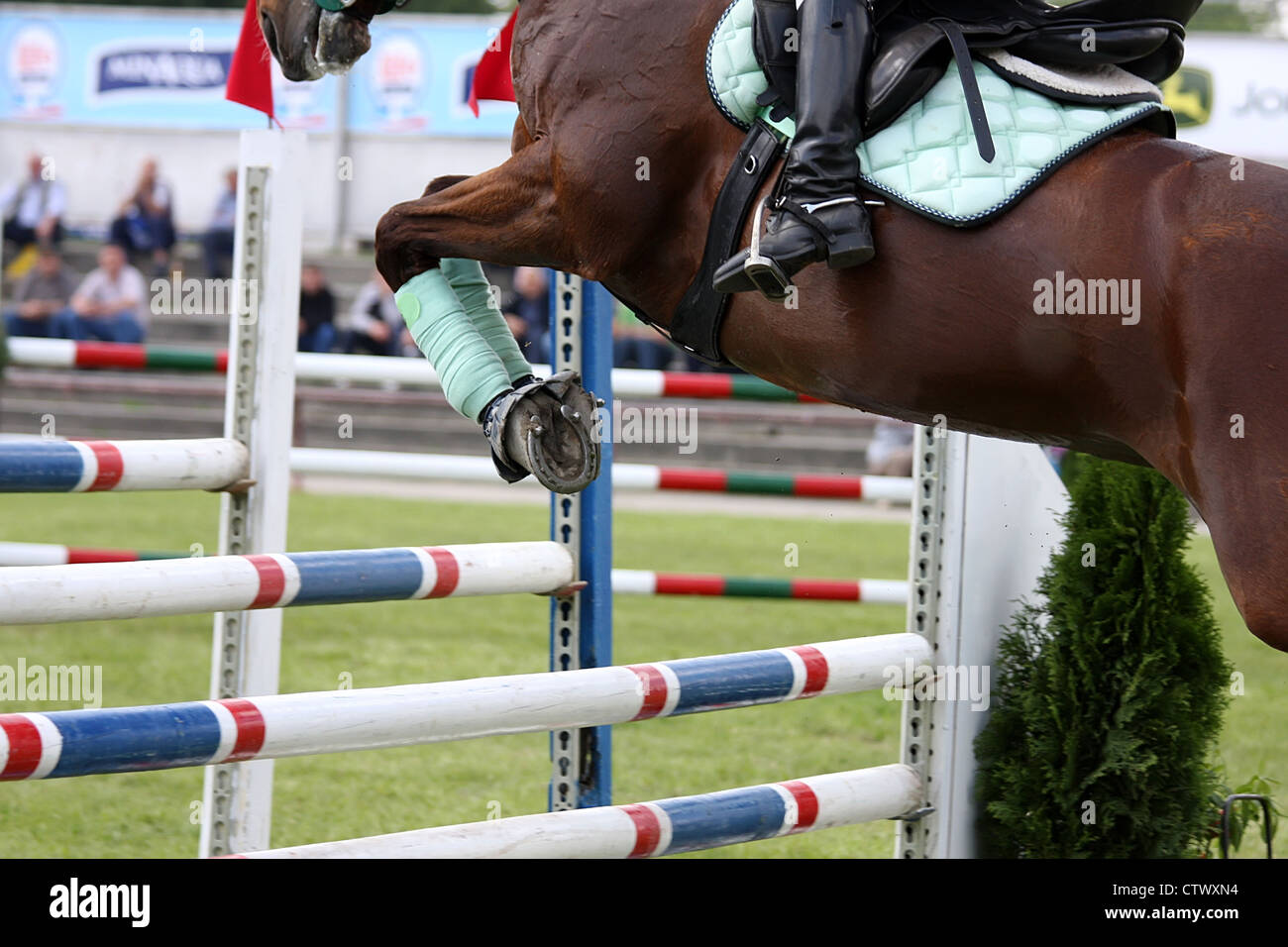 Girl rider on show jumping Stock Photo - Alamy