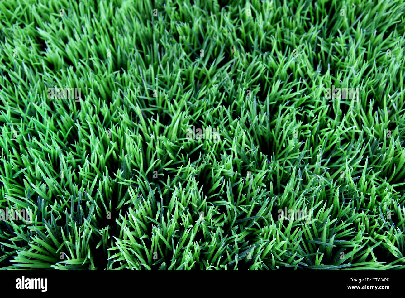 Fiel hi-res stock photography and images - Alamy