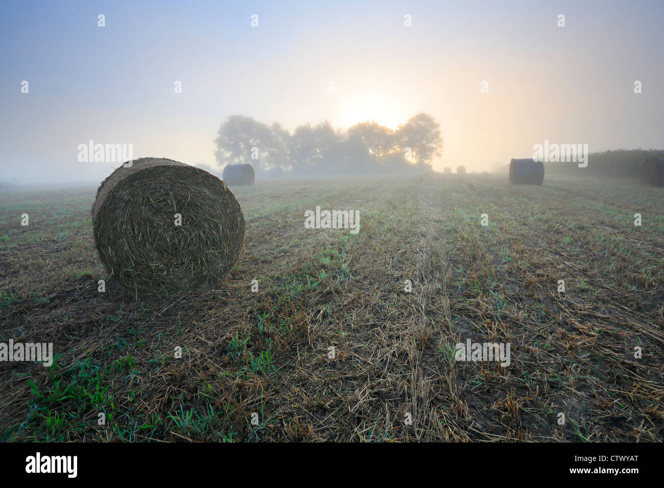 Bales of hay Stock Photo - Alamy