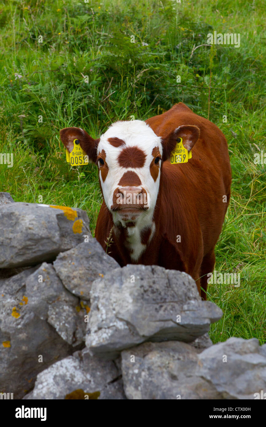 Provenance trace hi-res stock photography and images - Alamy