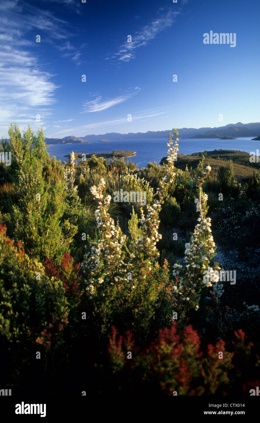 Deleted hi-res stock photography and images - Alamy