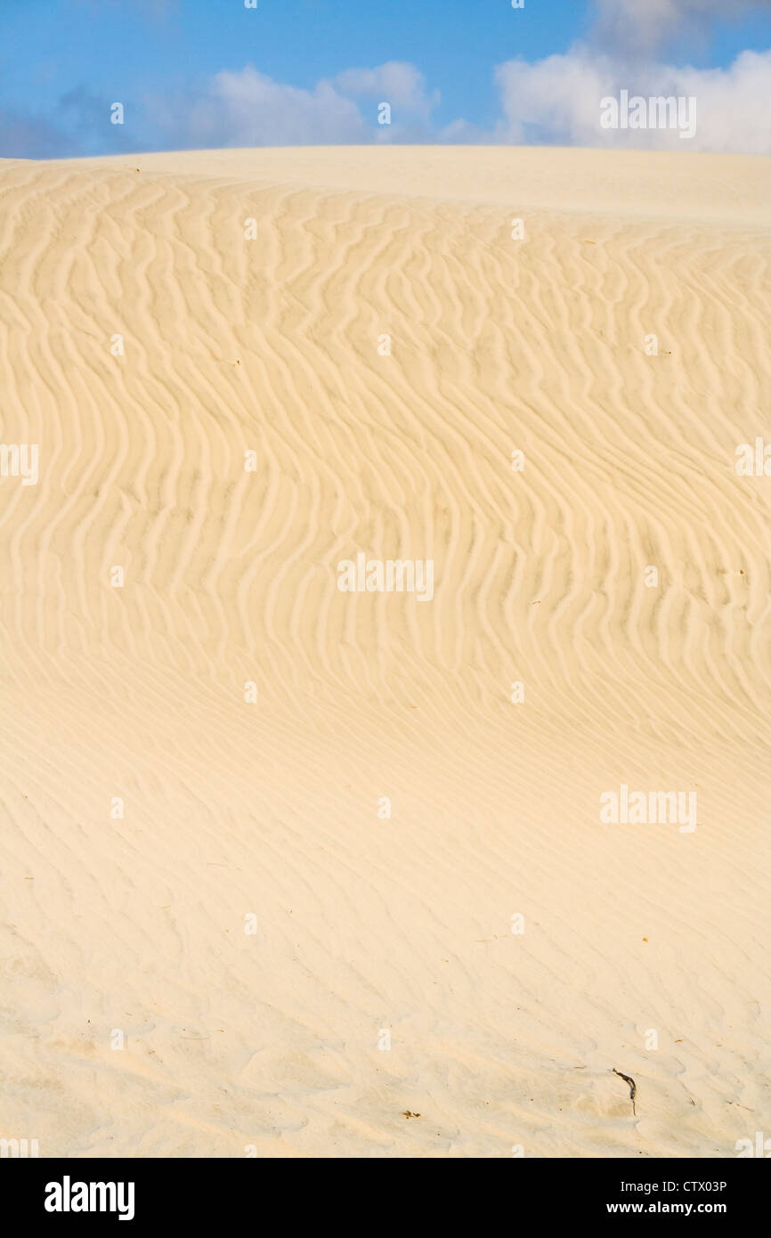 Sand dune in southern Madagascar Stock Photo - Alamy