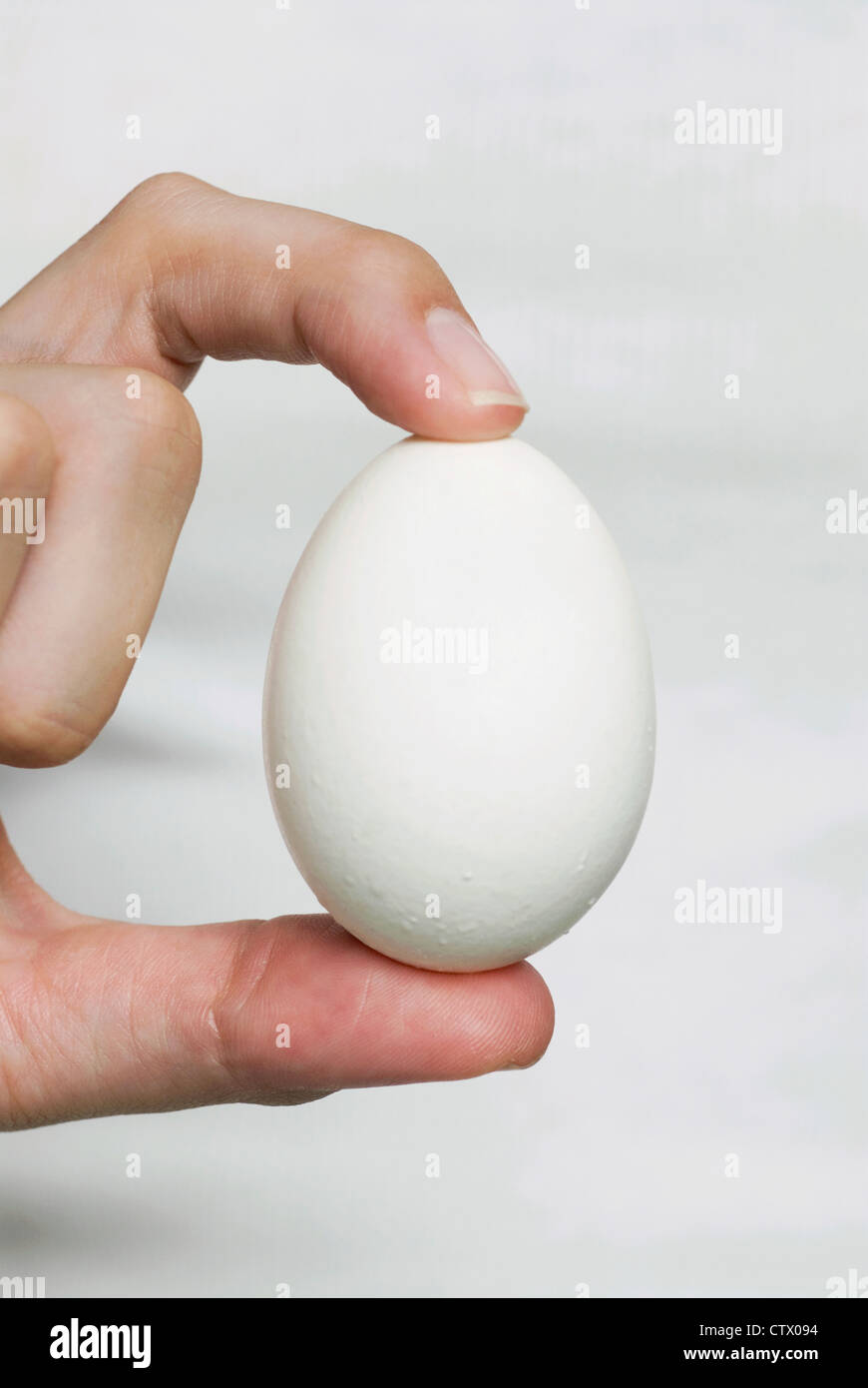 Hands holding egg hi-res stock photography and images - Alamy
