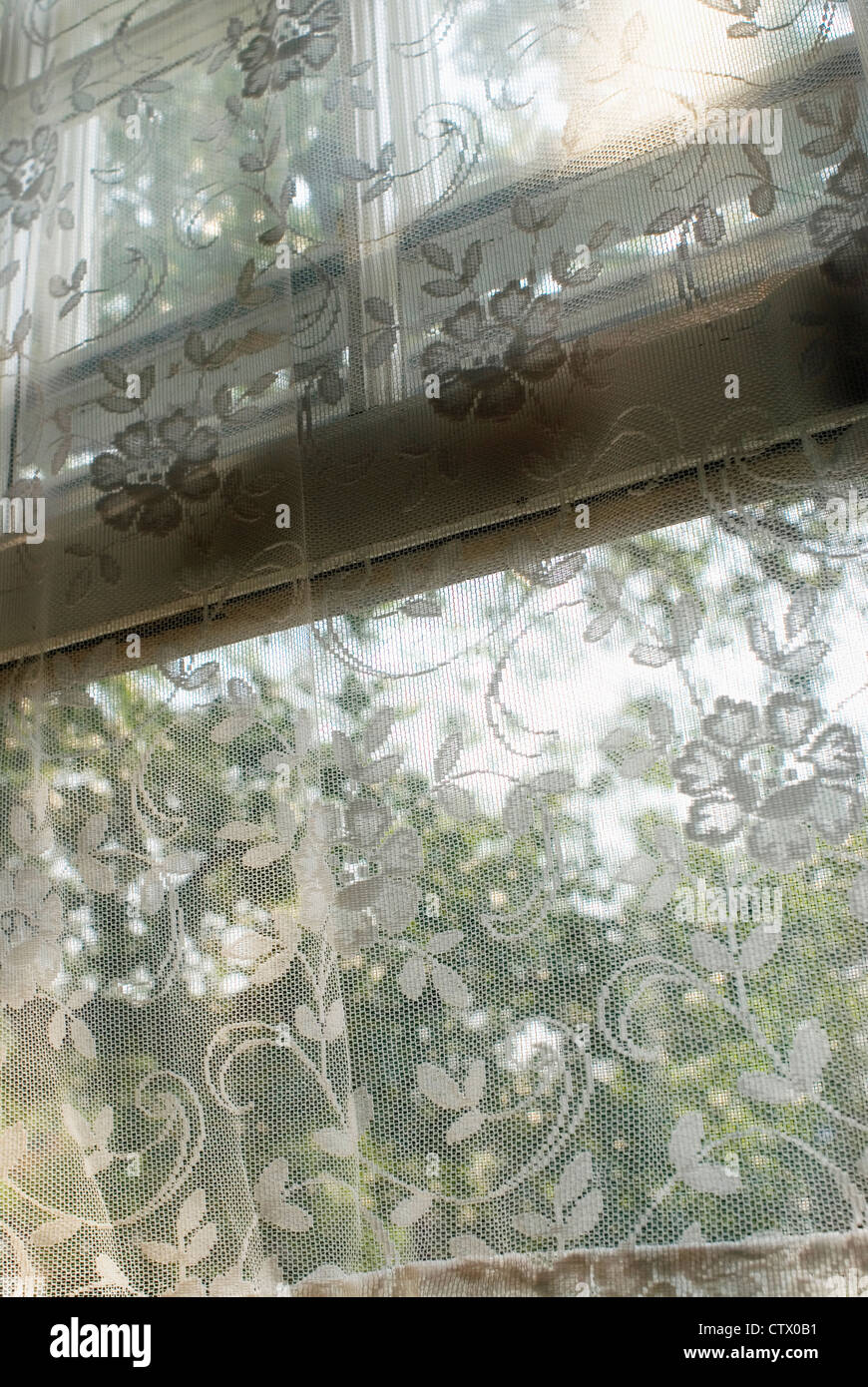 A lace curtain in front of a window looking outside Stock Photo - Alamy