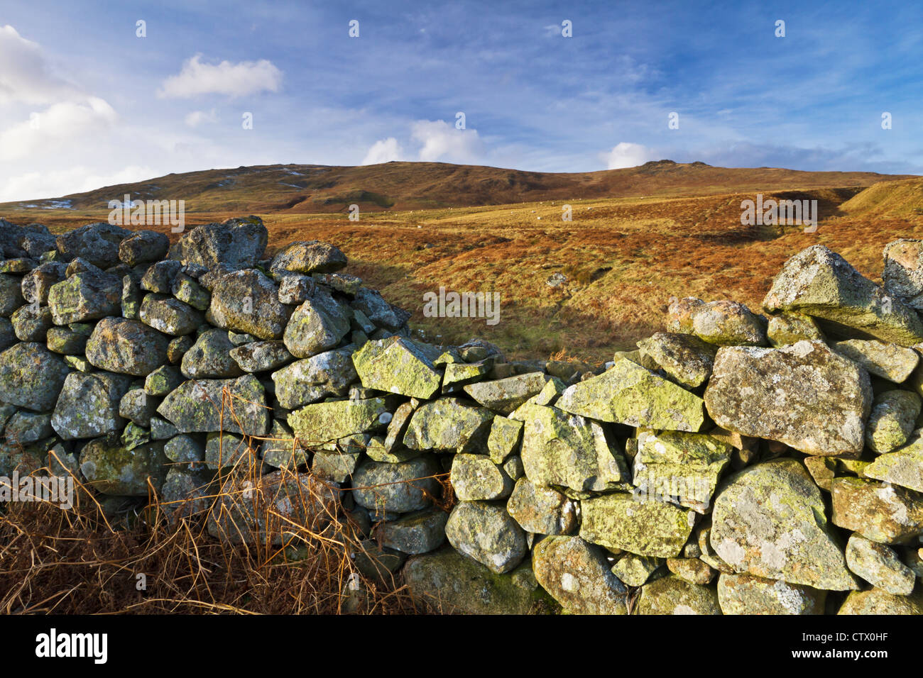 Looking toward Cunyan Crag in the Breamish / Ingram Valley in the ...