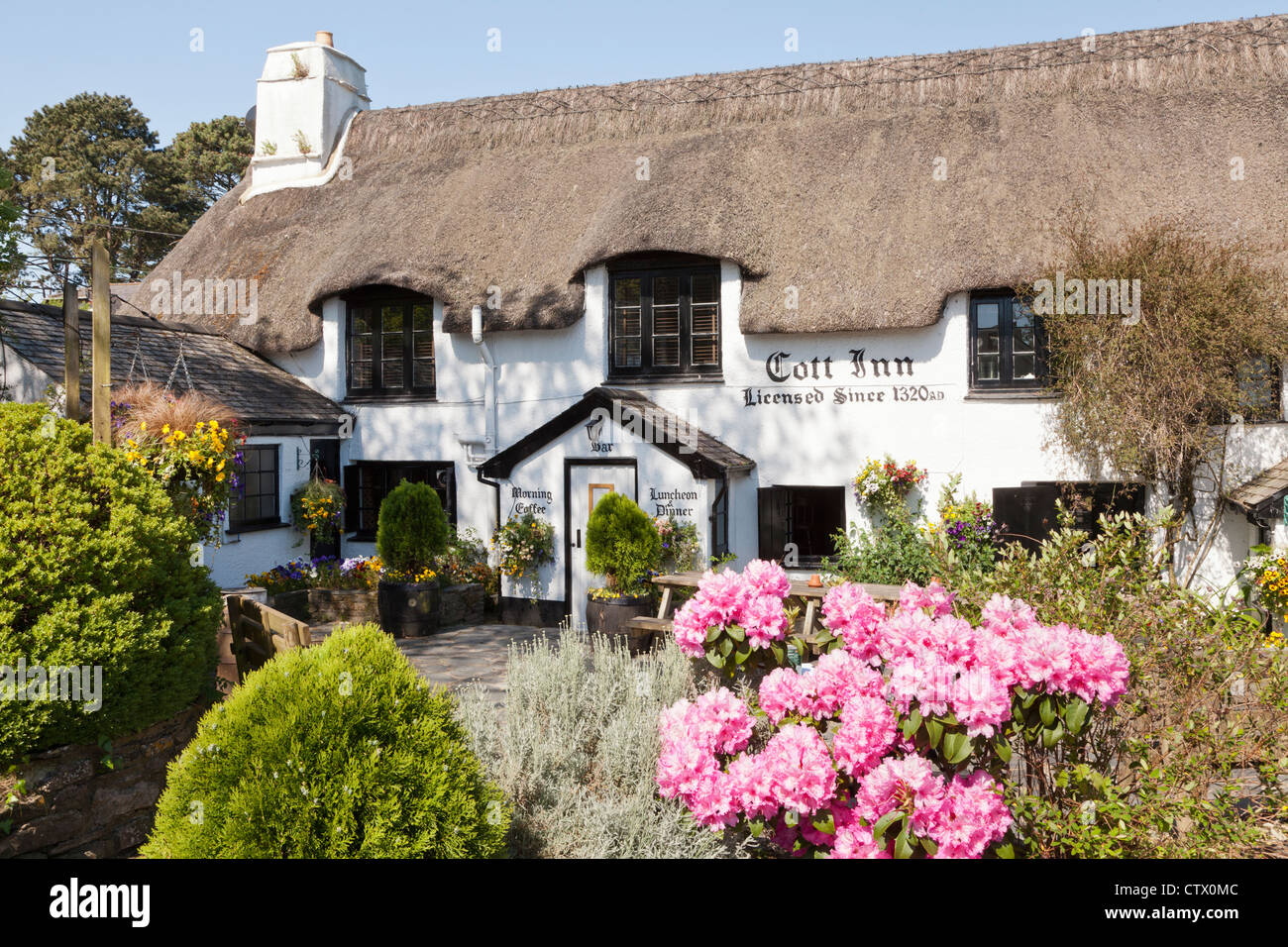 The famous Cott Inn at Dartington, Devon UK - one of the oldest ...