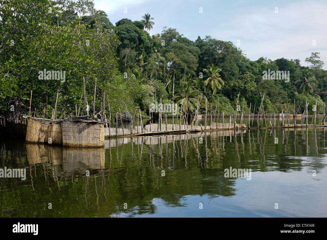 Prawn (shrimp) farm on Maduwa River (Madu Ganga), Sri Lanka Stock Photo ...