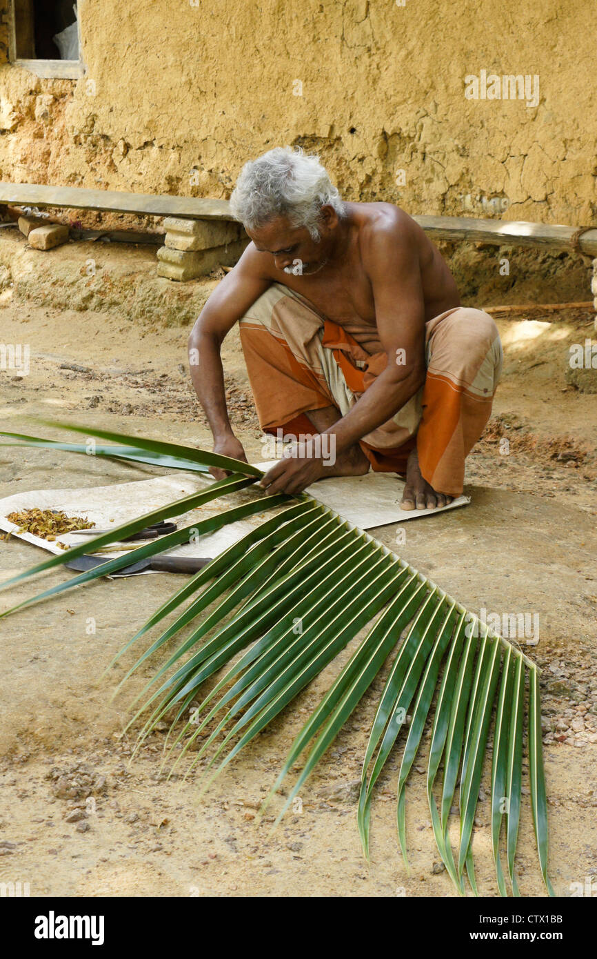 Man weaving palm leaf into mat, Sri Lanka Stock Photo - Alamy