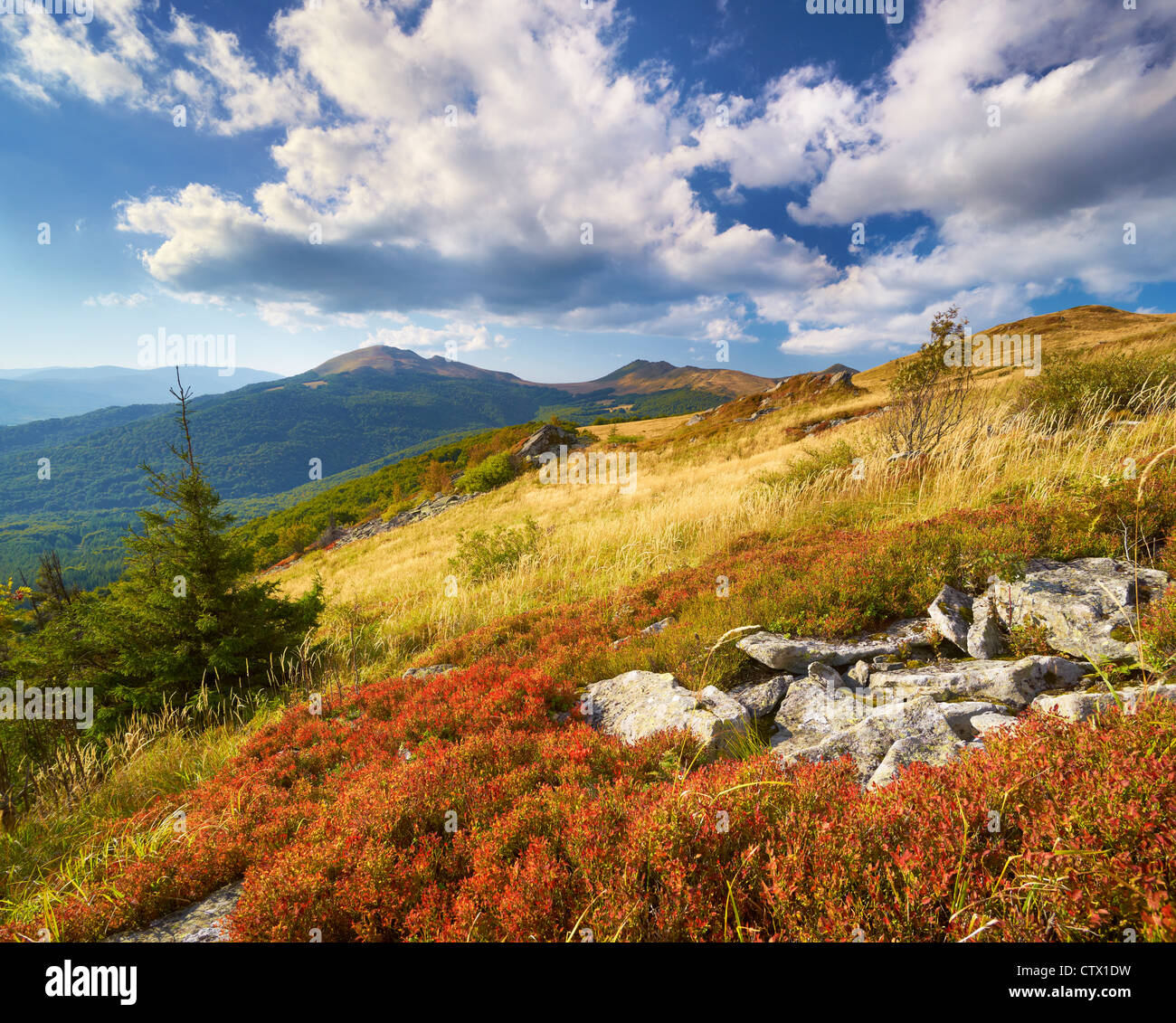 Bieszczady