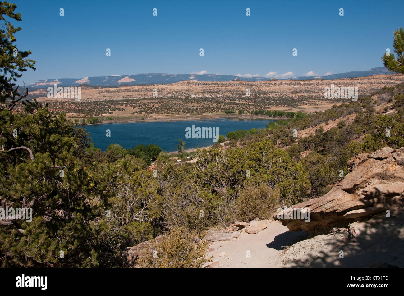 USA Utah, view at Escalante in Petrified Forest state park Stock Photo ...