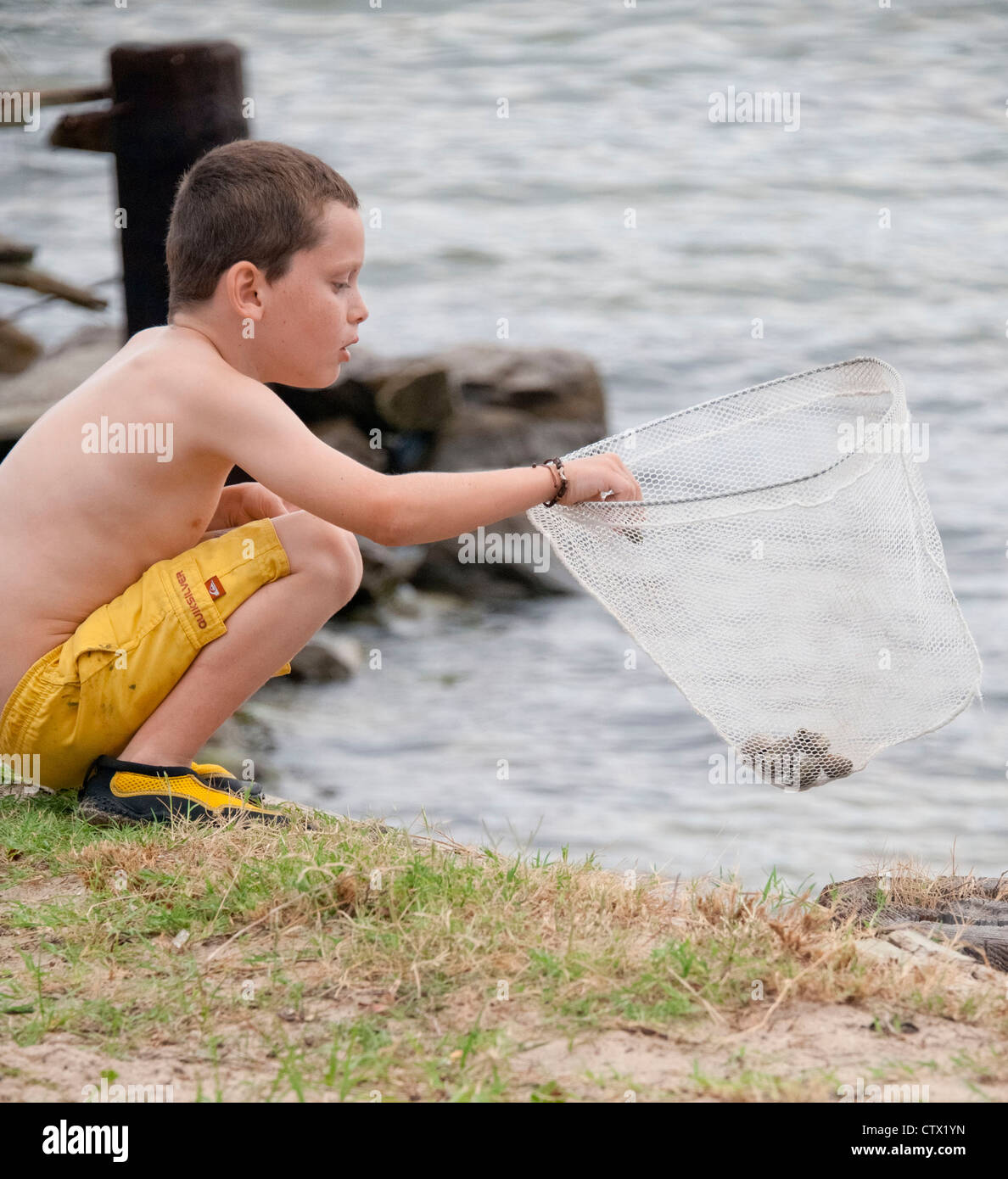 Young boy catches hermit crabs Stock Photo - Alamy