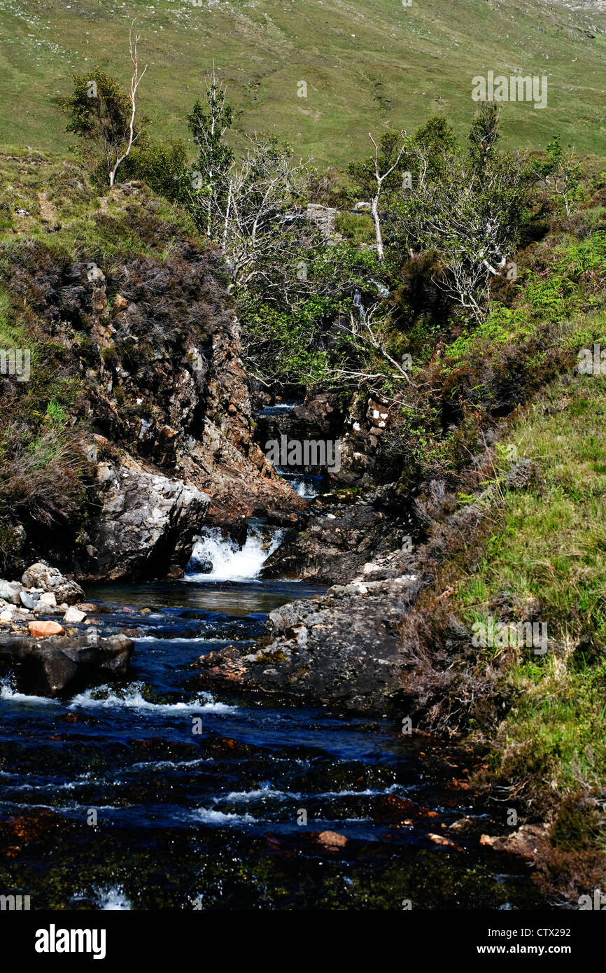 Rowan Trees by the banks of The Allt an t Stratha Bhig Torrin near ...
