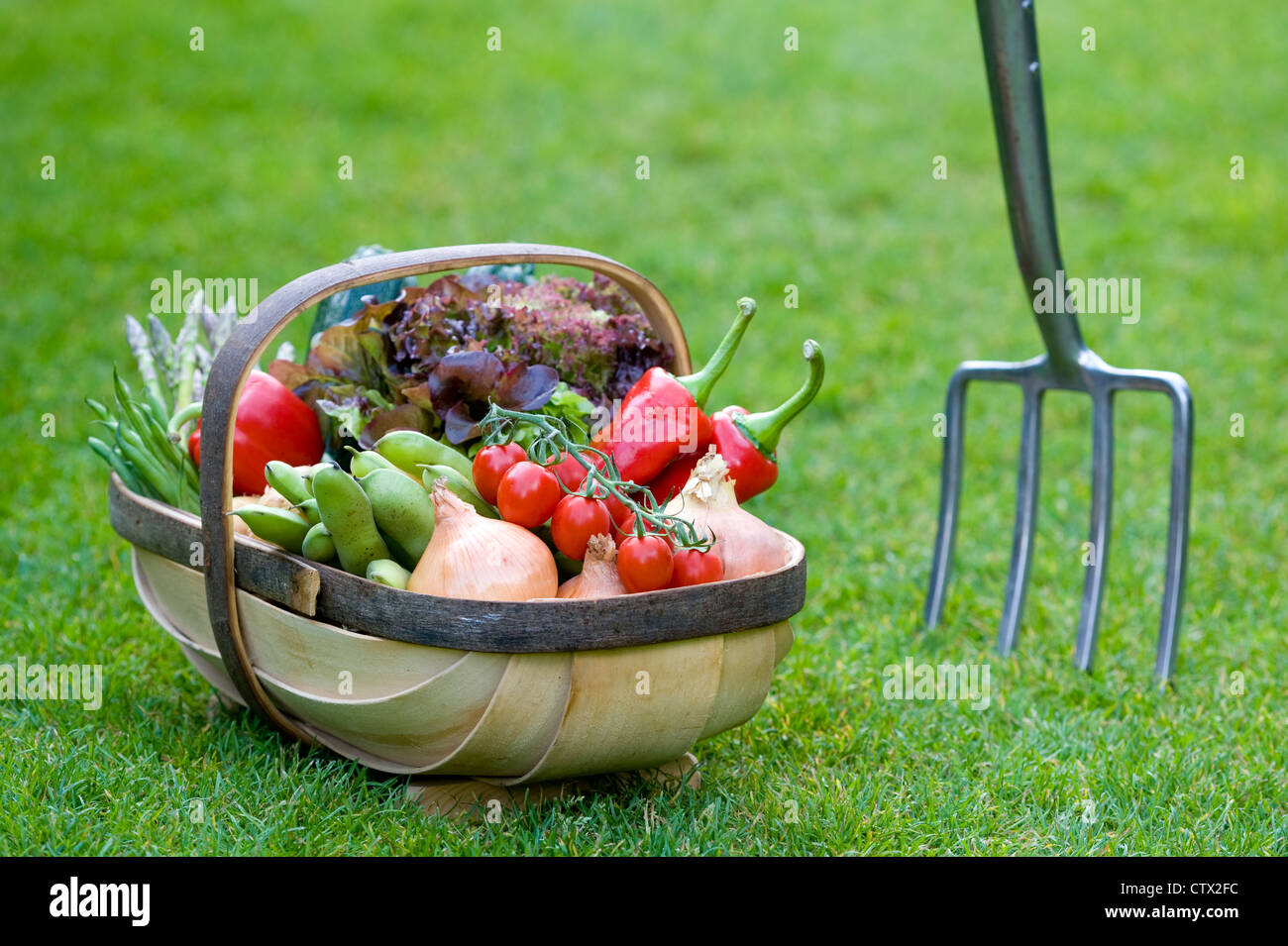 Courgette trug hi-res stock photography and images - Alamy