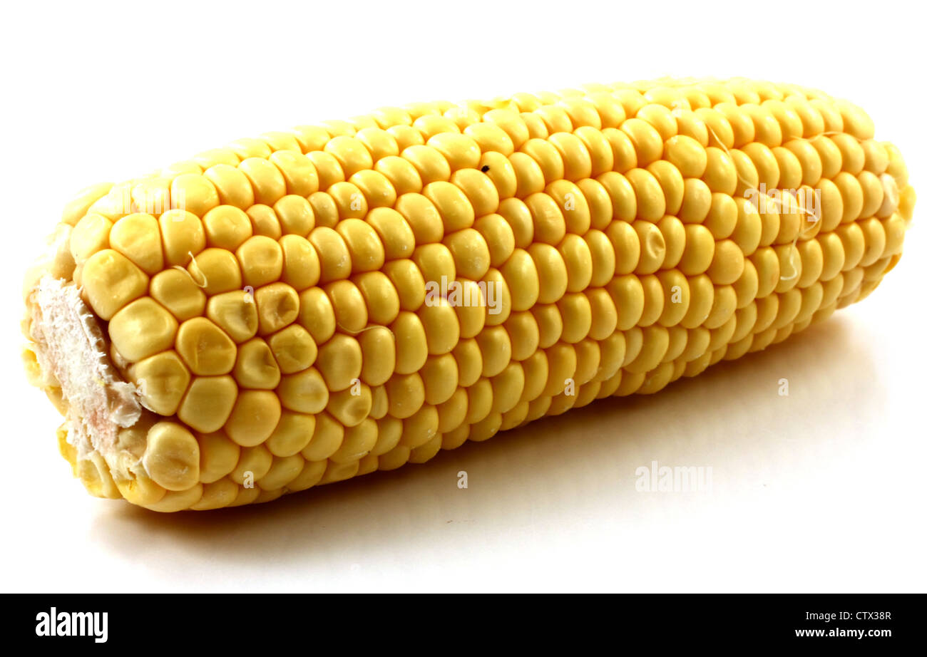 corn isolated on a white background Stock Photo - Alamy