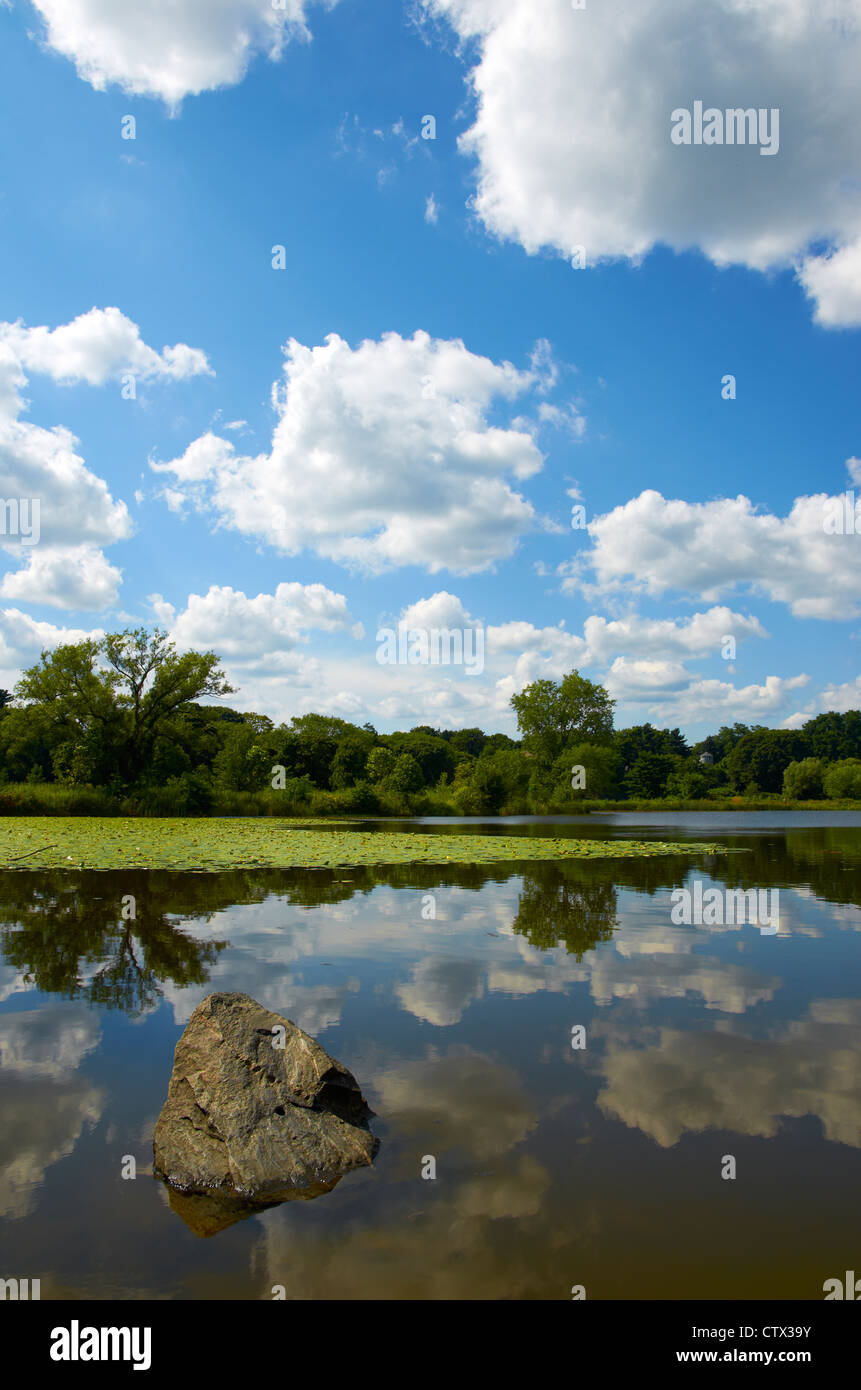 clouds in sky with reflective pond Stock Photo - Alamy