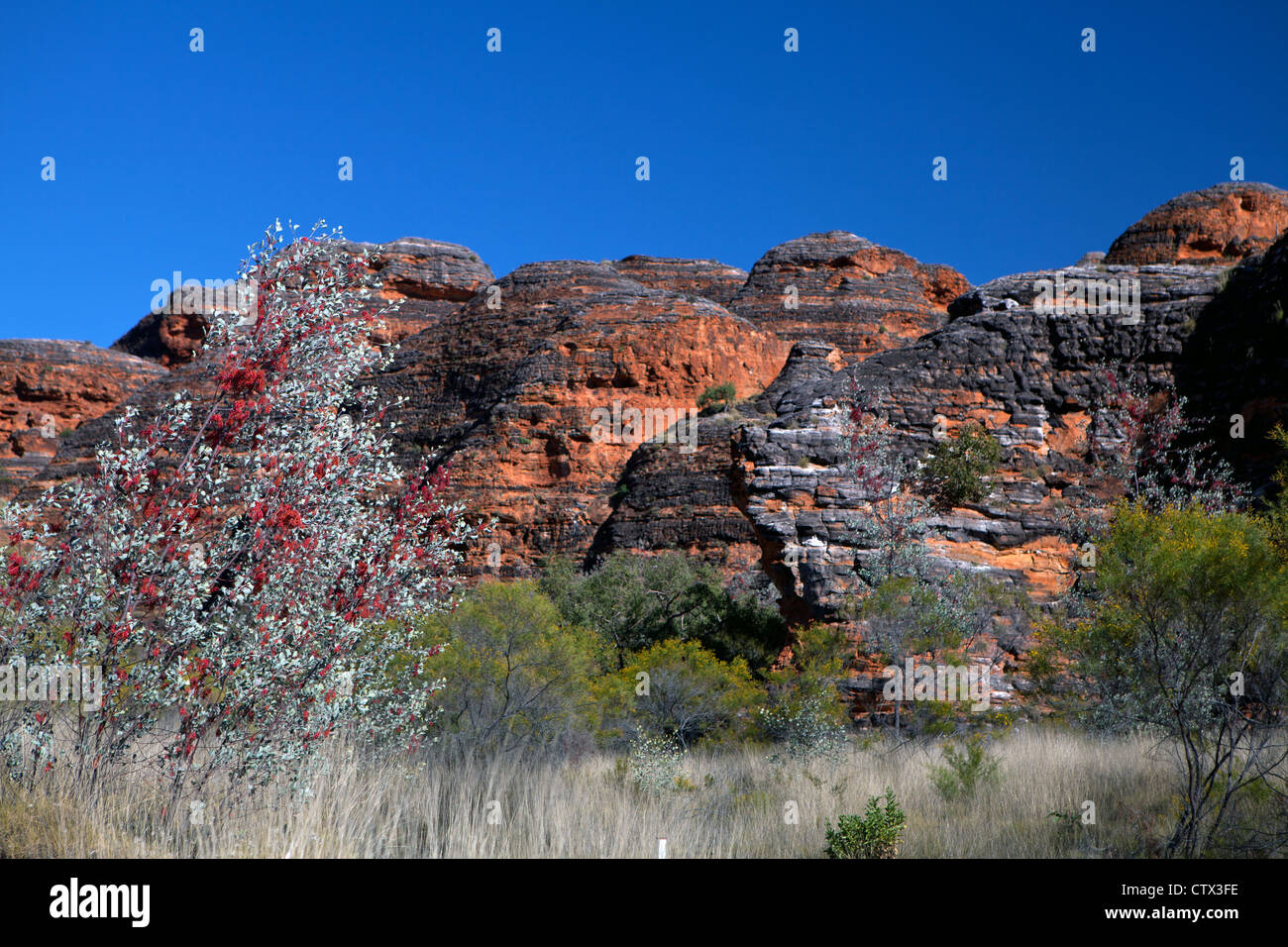 Gibb river road australia broome hi-res stock photography and images ...