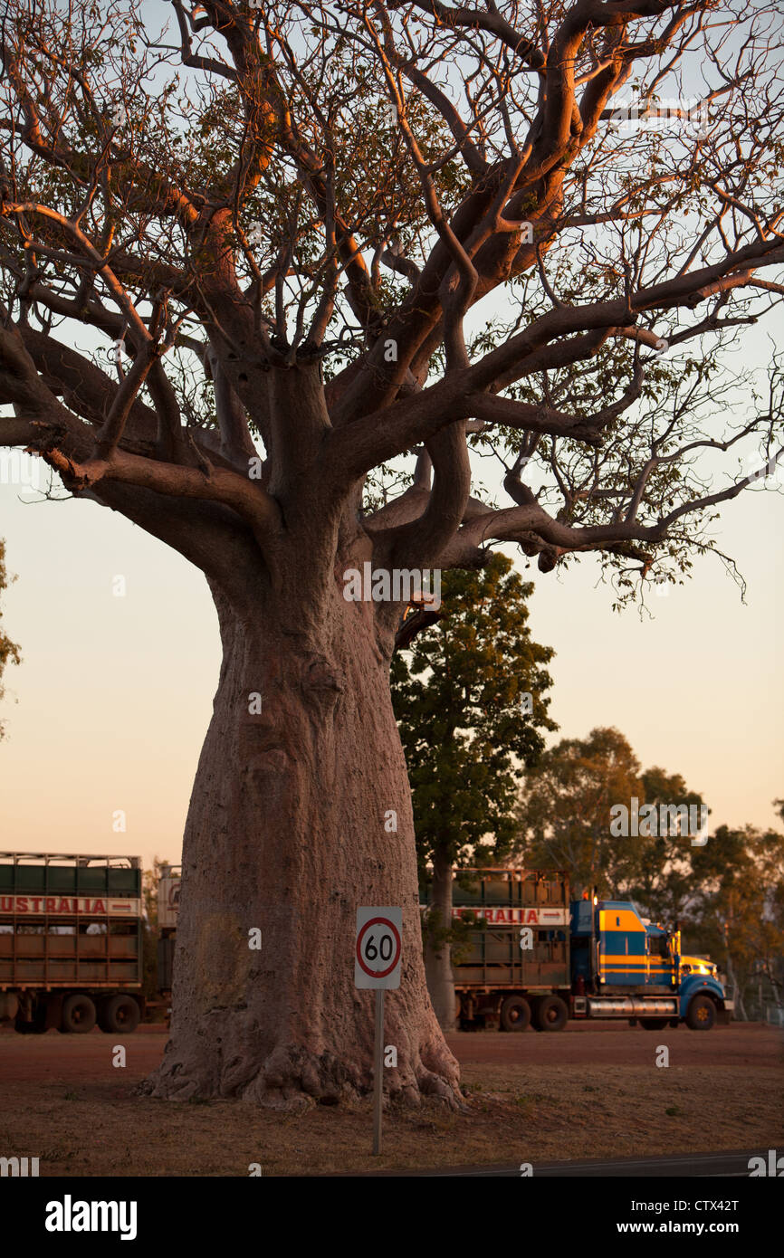 Sites of the Gibb River Road, Kimberley, Australia Stock Photo - Alamy