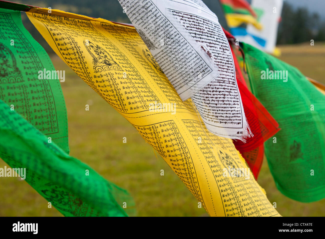 Tibet prayer flags Stock Photo - Alamy