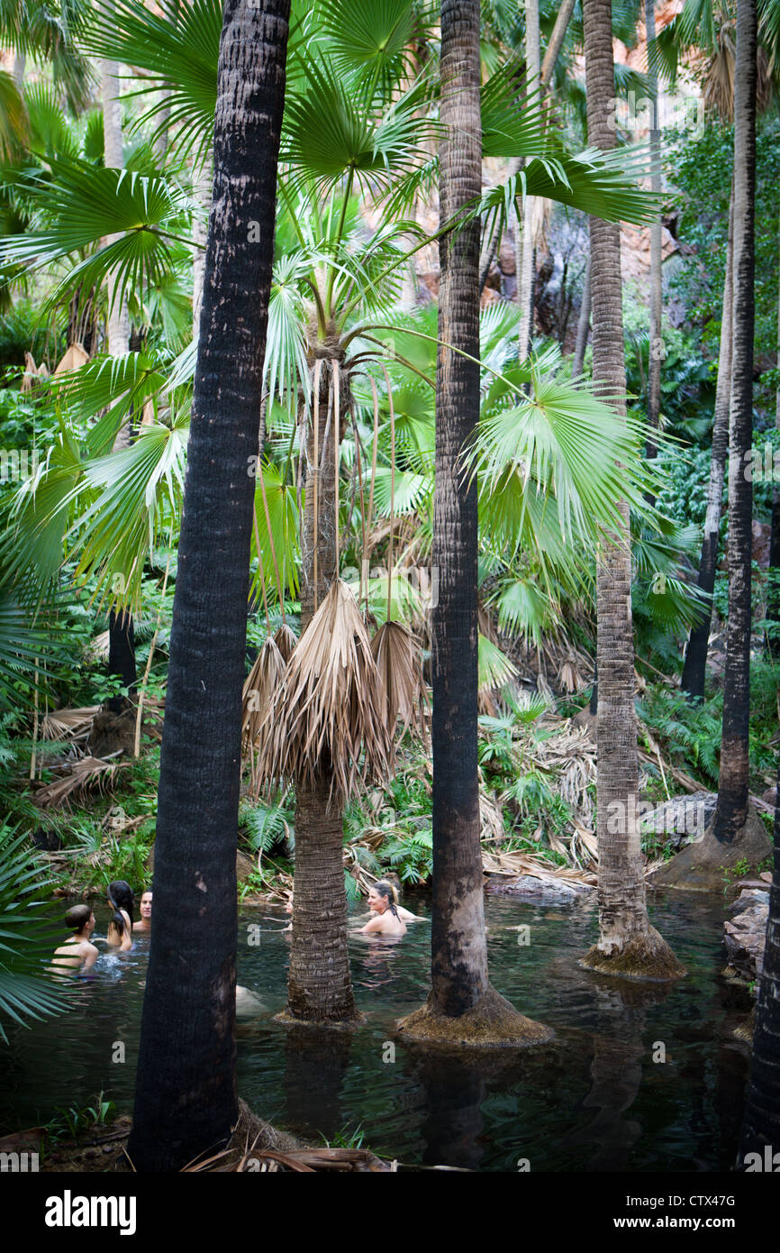 Zebedee australia hi-res stock photography and images - Alamy