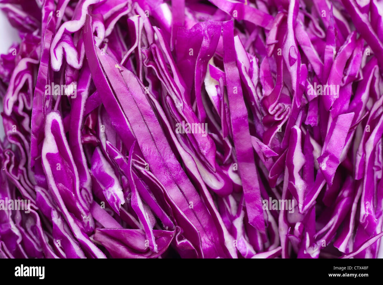 background of fresh shredded red cabbage Stock Photo - Alamy