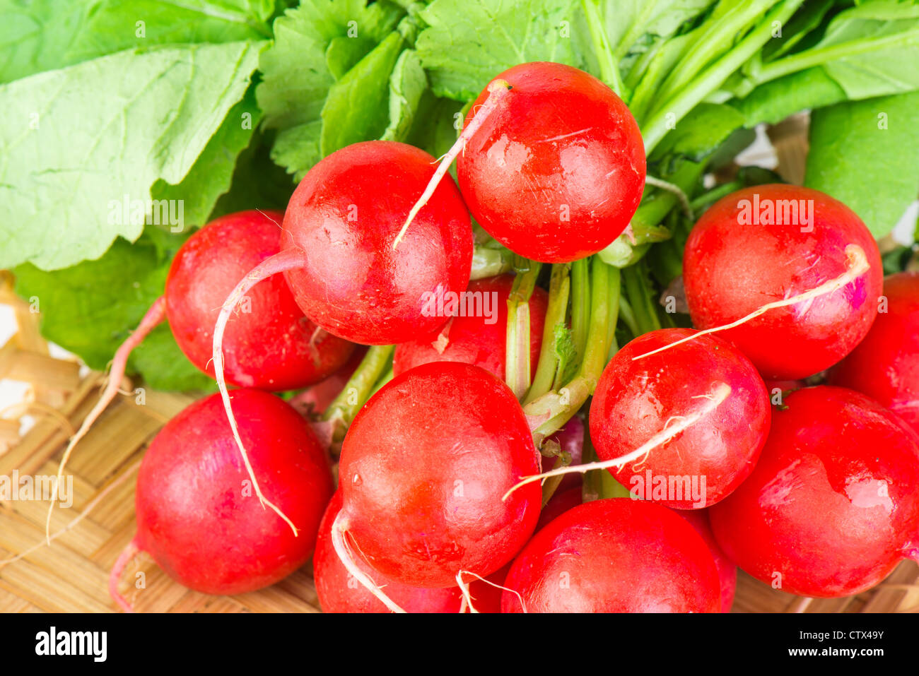 Radishes with green tops hi-res stock photography and images - Alamy