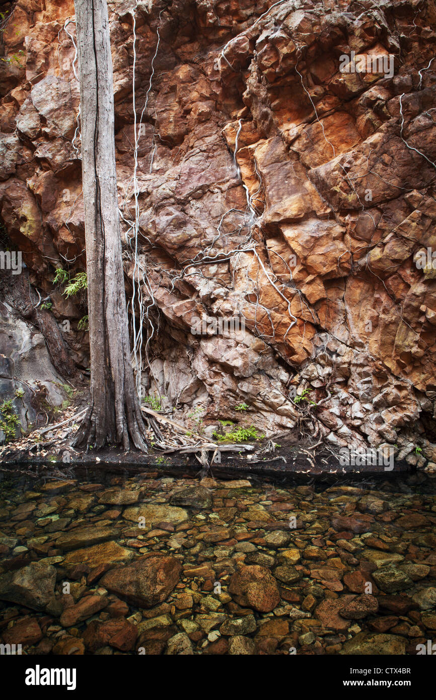 El Questro Gorge, Kimberley, Western Australia Stock Photo - Alamy