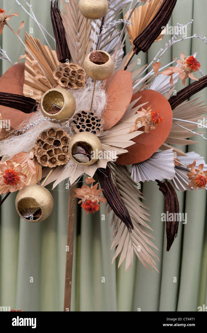 Dried Seed Heads High Resolution Stock Photography and Images - Alamy