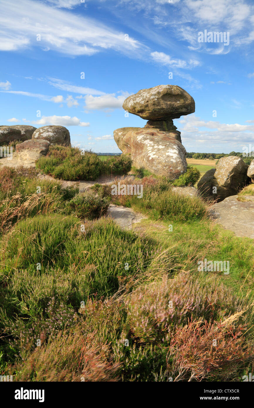 Balancing rock at Brimham Rocks and Moor near Summerbridge in ...