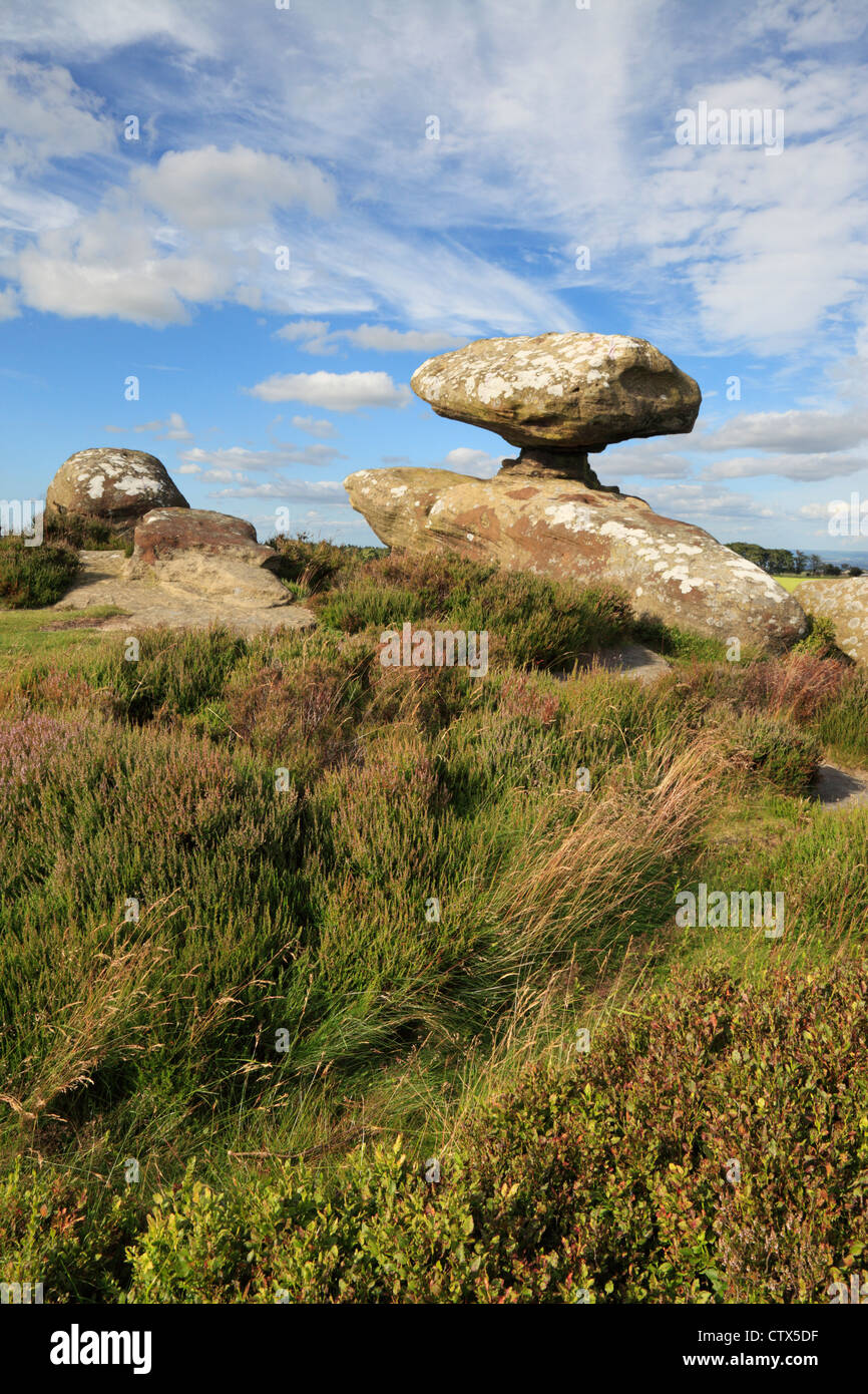 Balancing rock at Brimham Rocks and Moor near Summerbridge in ...