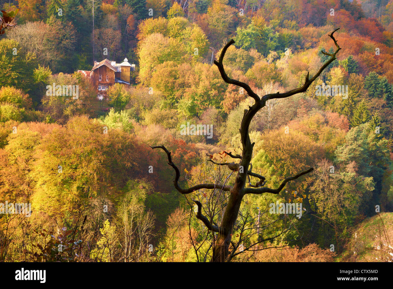 Jura Mountains, Pradnik Valley, Poland, Europe Stock Photo - Alamy