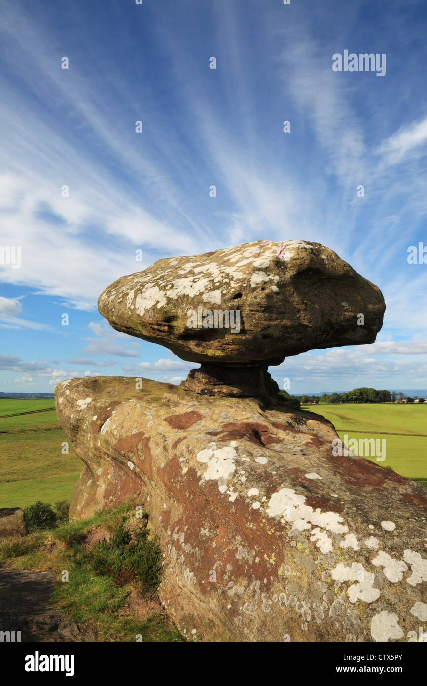 Balancing rock at Brimham Rocks and Moor near Summerbridge in ...
