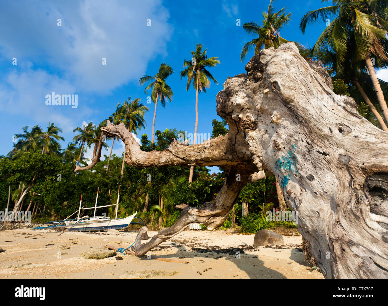 Dead tree island hi-res stock photography and images - Alamy