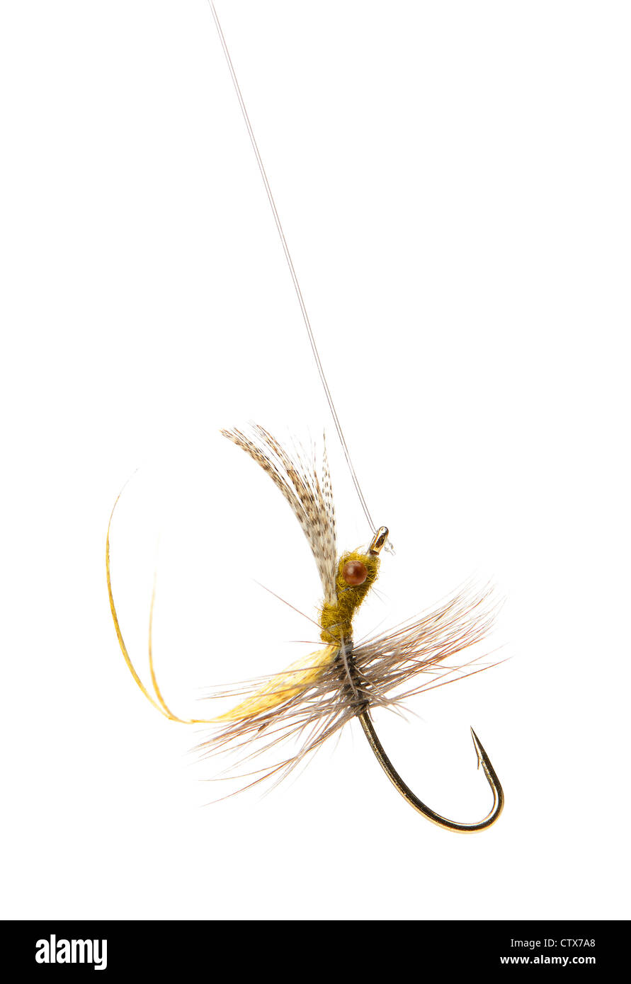 Fly fishing lure isolated on a white background Stock Photo - Alamy