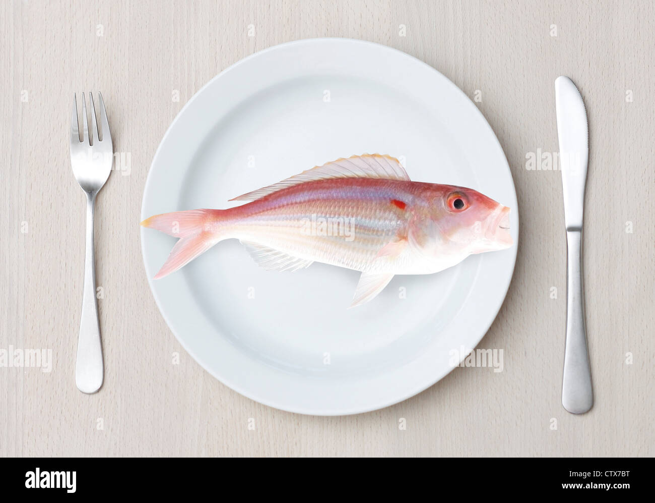 Fish on a plate Stock Photo - Alamy