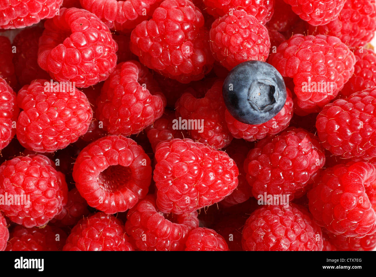 Blueberry on a background of raspberries Stock Photo - Alamy