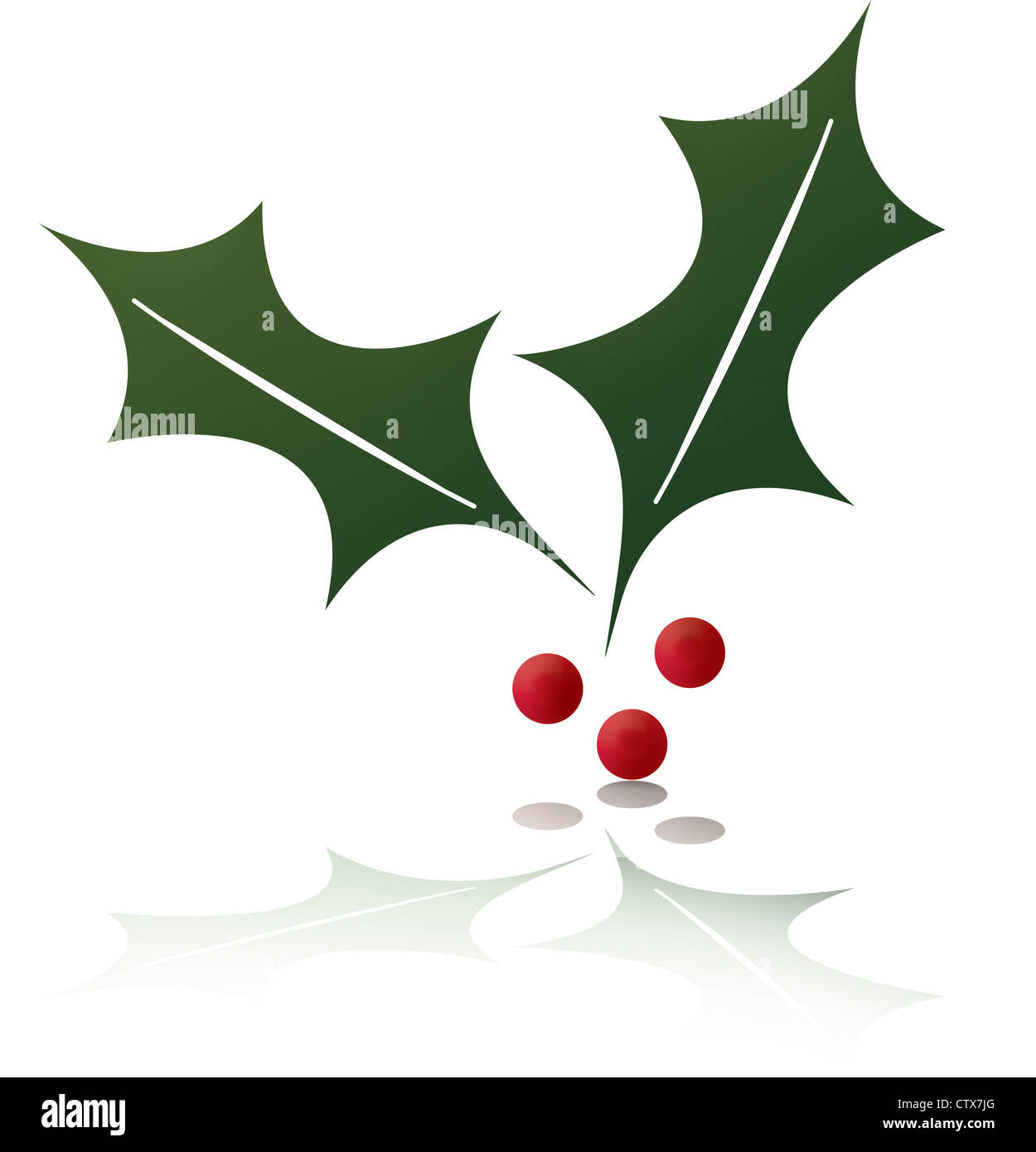 Holly illustration Cut Out Stock Images & Pictures - Alamy