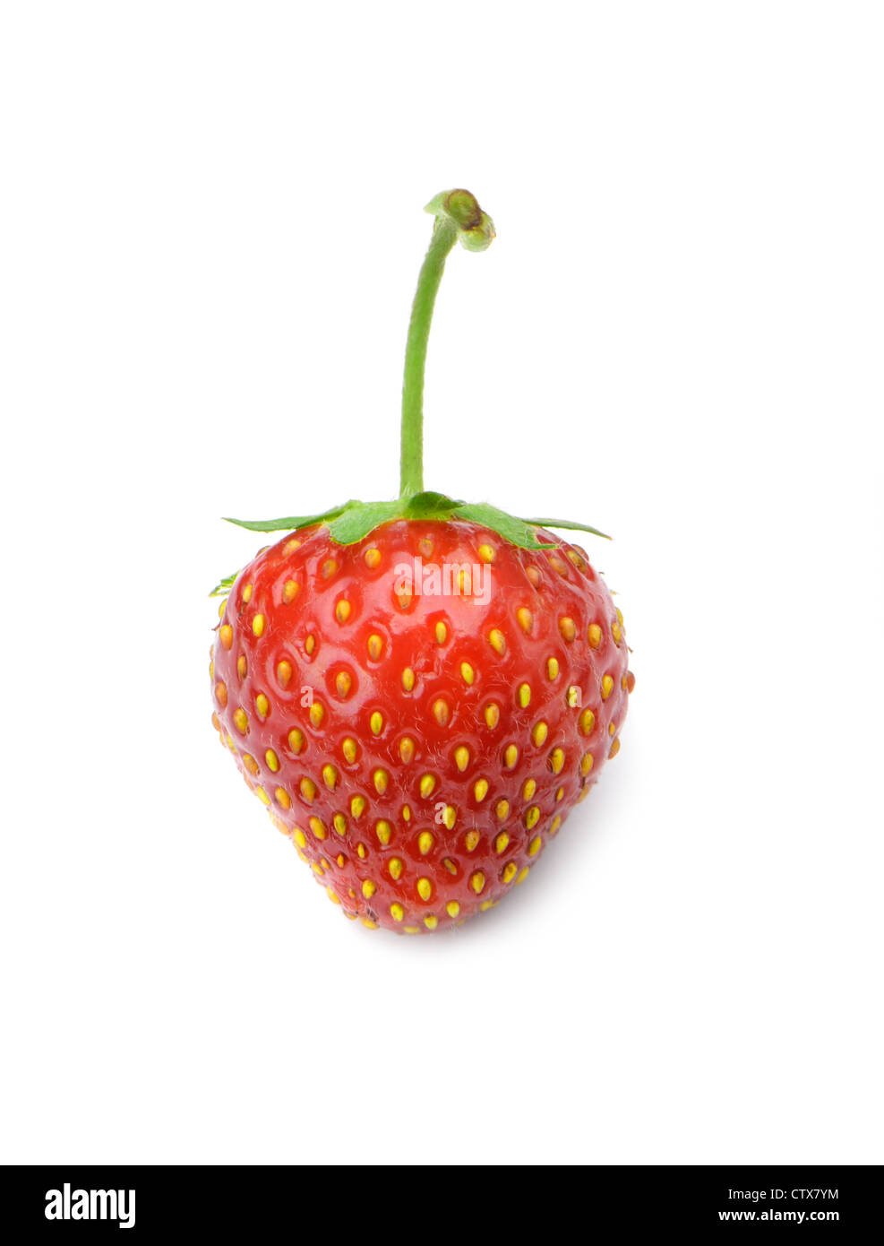 Strawberries. Detailed berry isolated on white background Stock Photo ...